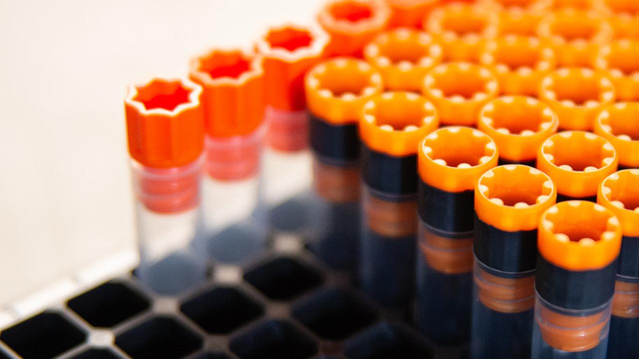 COVID-19 Testing | Campus Ready